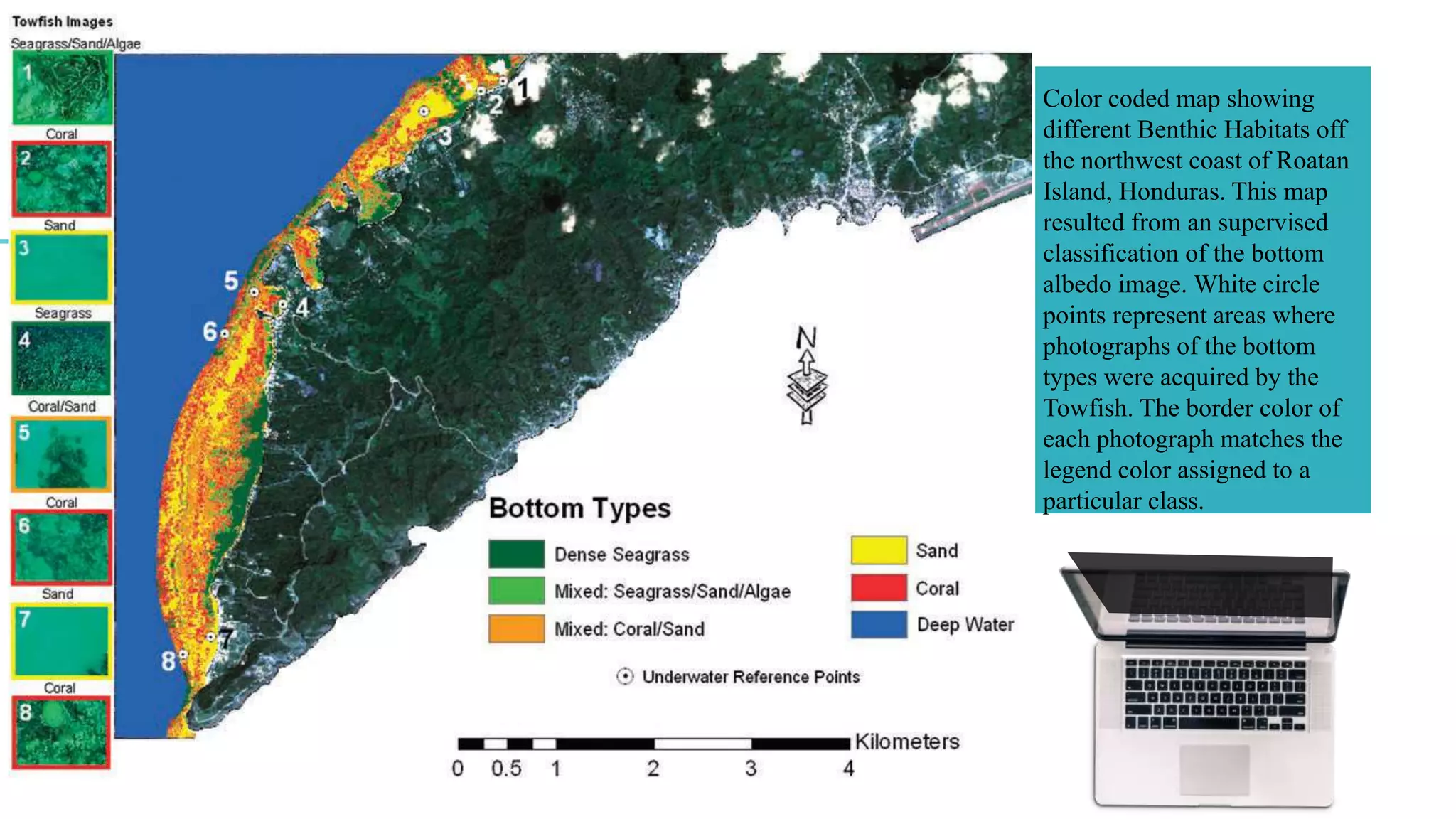 Benthic Habitat Mapping in Tropical Marine Environment Using QuickBird Multispectral Data ...