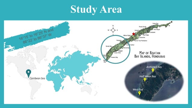 Benthic Habitat Mapping in Tropical Marine Environment Using QuickBird ...