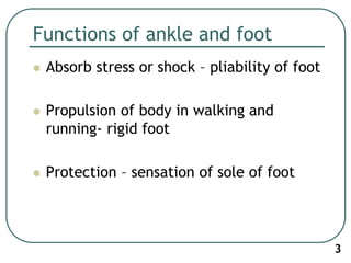 1. Biomechanics of ankle joint subtalar joint and foot | PPTX