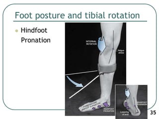 1. Biomechanics of ankle joint subtalar joint and foot | PPTX