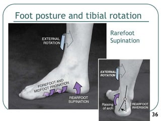 1. Biomechanics of ankle joint subtalar joint and foot | PPTX