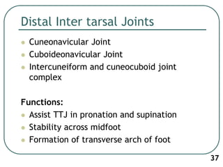 1. Biomechanics of ankle joint subtalar joint and foot | PPTX