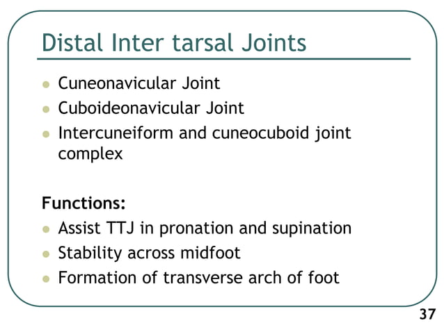 1. Biomechanics of ankle joint subtalar joint and foot | PPTX