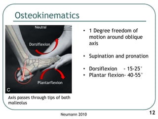 Talocrural Joint Axis
