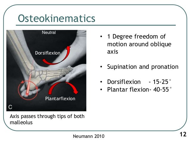 1. Biomechanics of ankle joint subtalar joint and foot
