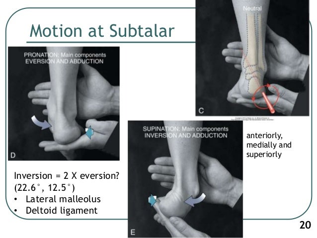 1. Biomechanics of ankle joint subtalar joint and foot