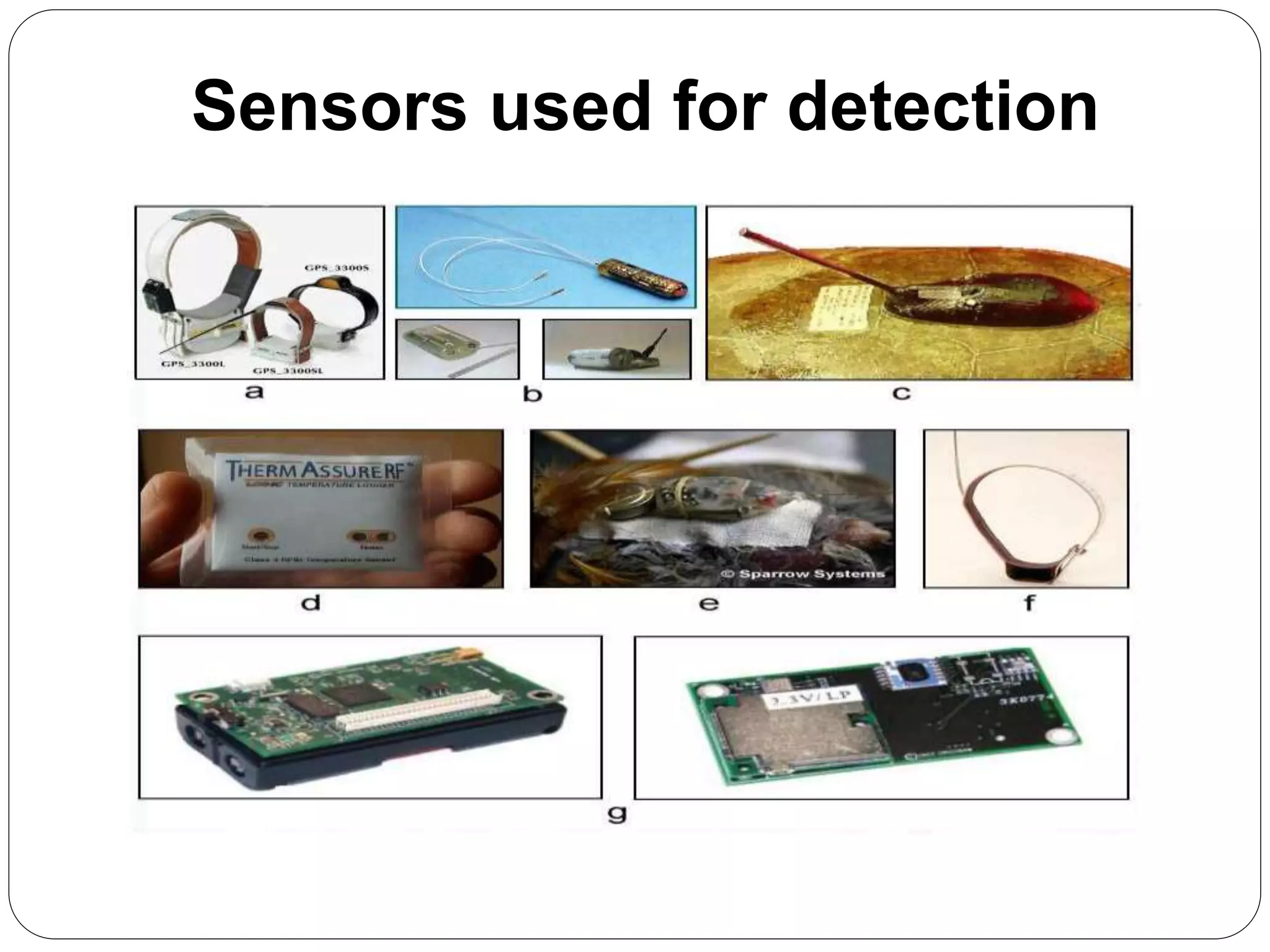 Wireless Sensor Networks And Application Forest Fire Detection Pptx