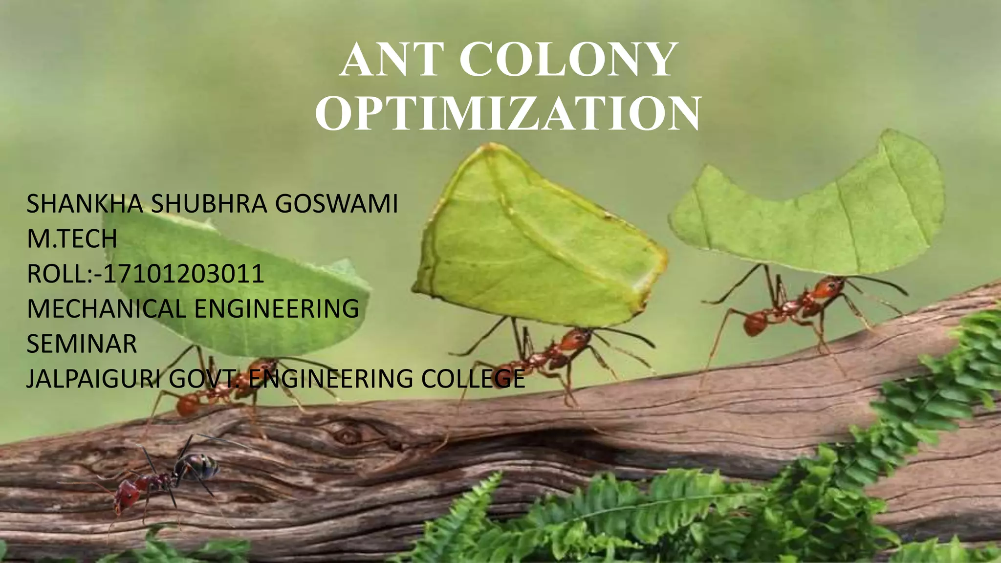Ant Colony Optimization Ppt