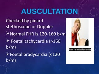 Antenatal care | PPT