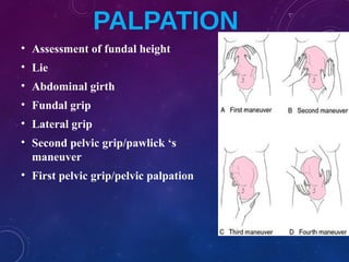 Antenatal care | PPT