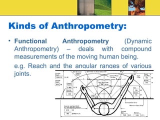 1 anthropometry | PPT