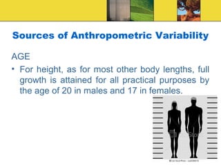 1 anthropometry | PPT