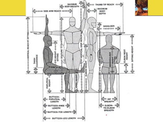 1 anthropometry | PPT