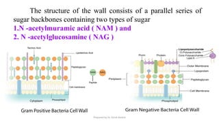 1 Antibiotics- Introduction, History, Classification, Mechanism of ...