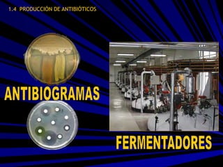 Comprehensive Overview and Industrial Applications of Fermentation ...