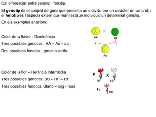 1a part genetica | PPT
