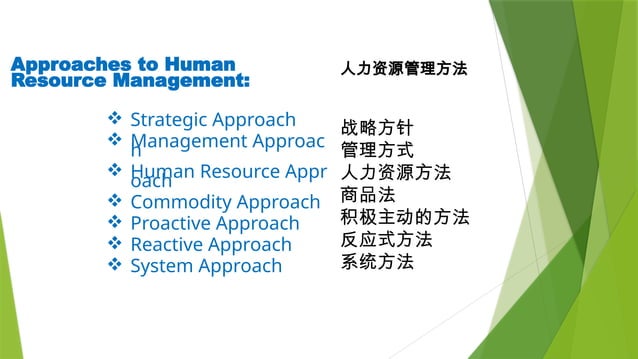 General approaches to Human Resources MAnagement..pptx