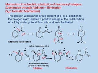 1 Aromatic Halogen Compounds organic chemistry..pdf
