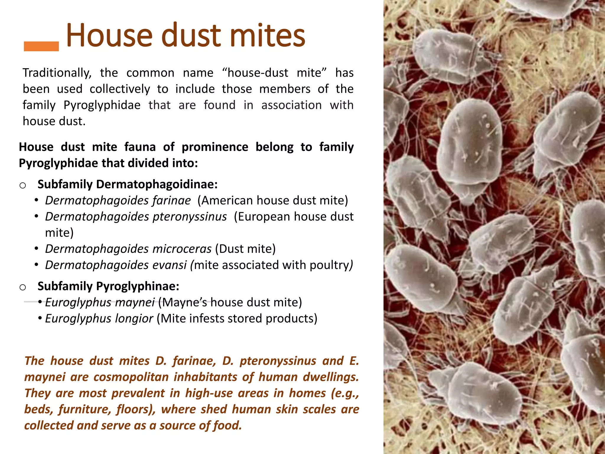 1 arthropod allergy.pptx