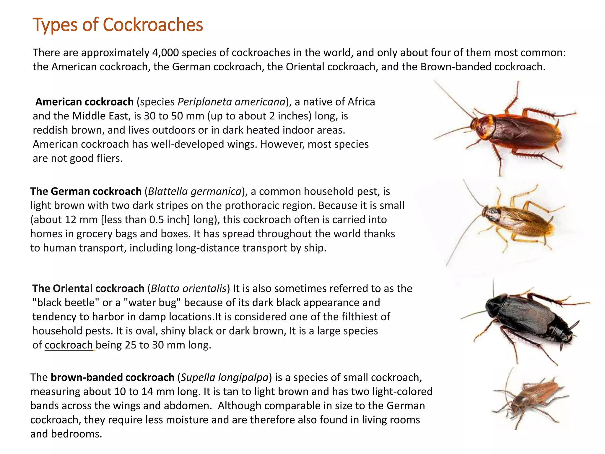 1 arthropod allergy.pptx