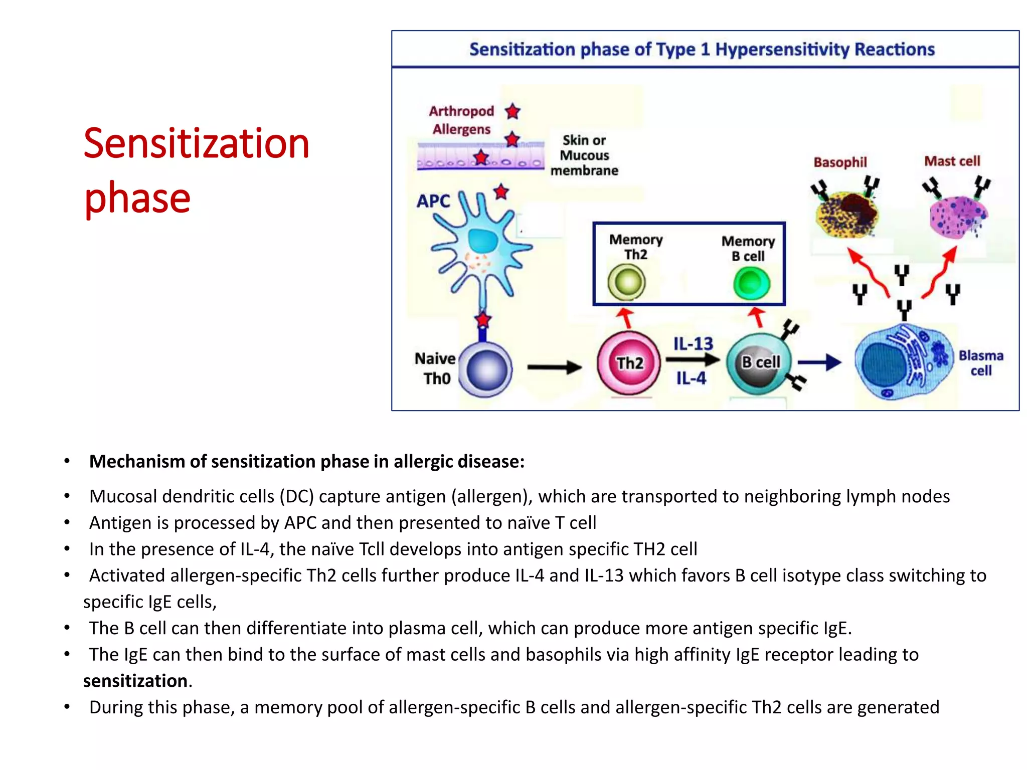 1 arthropod allergy.pptx