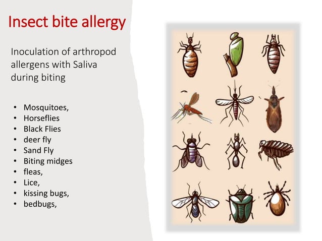 1 arthropod allergy.pptx