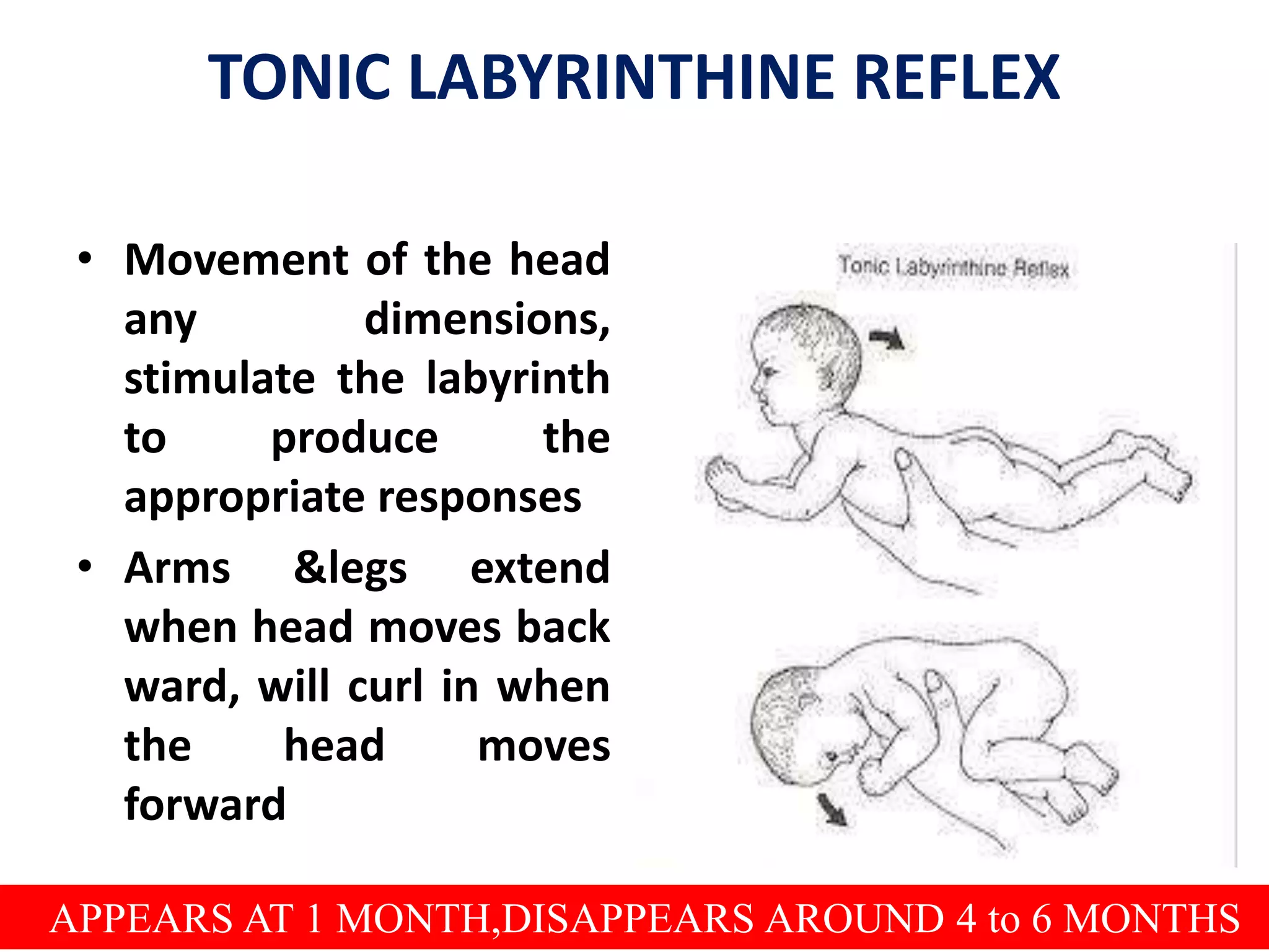 ASSESSMENT OF NEWBORN REFLEXES | PPTX