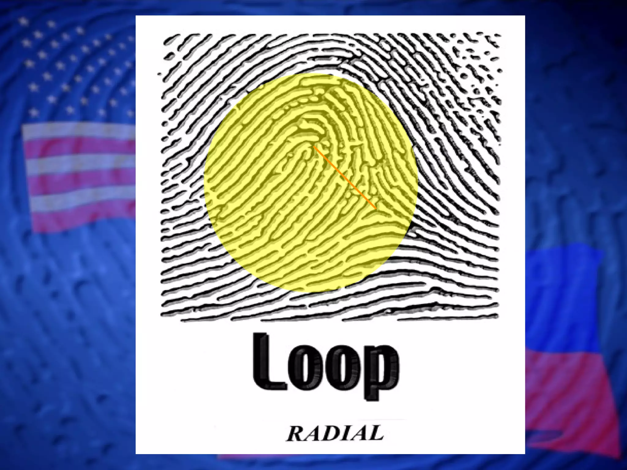 Fingerprint Classification- slide 1 | PPT