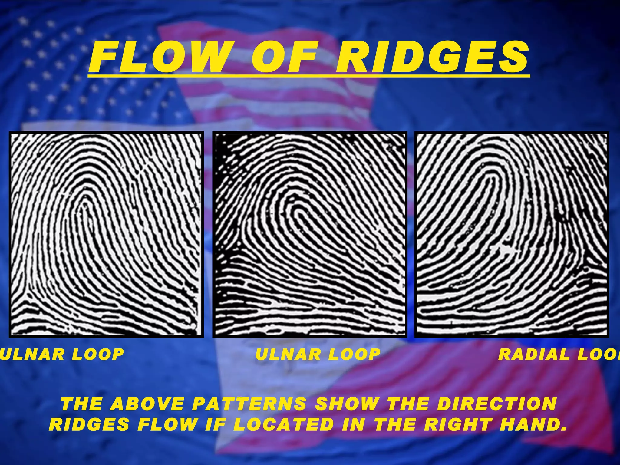 Fingerprint Classification- slide 1 | PPT