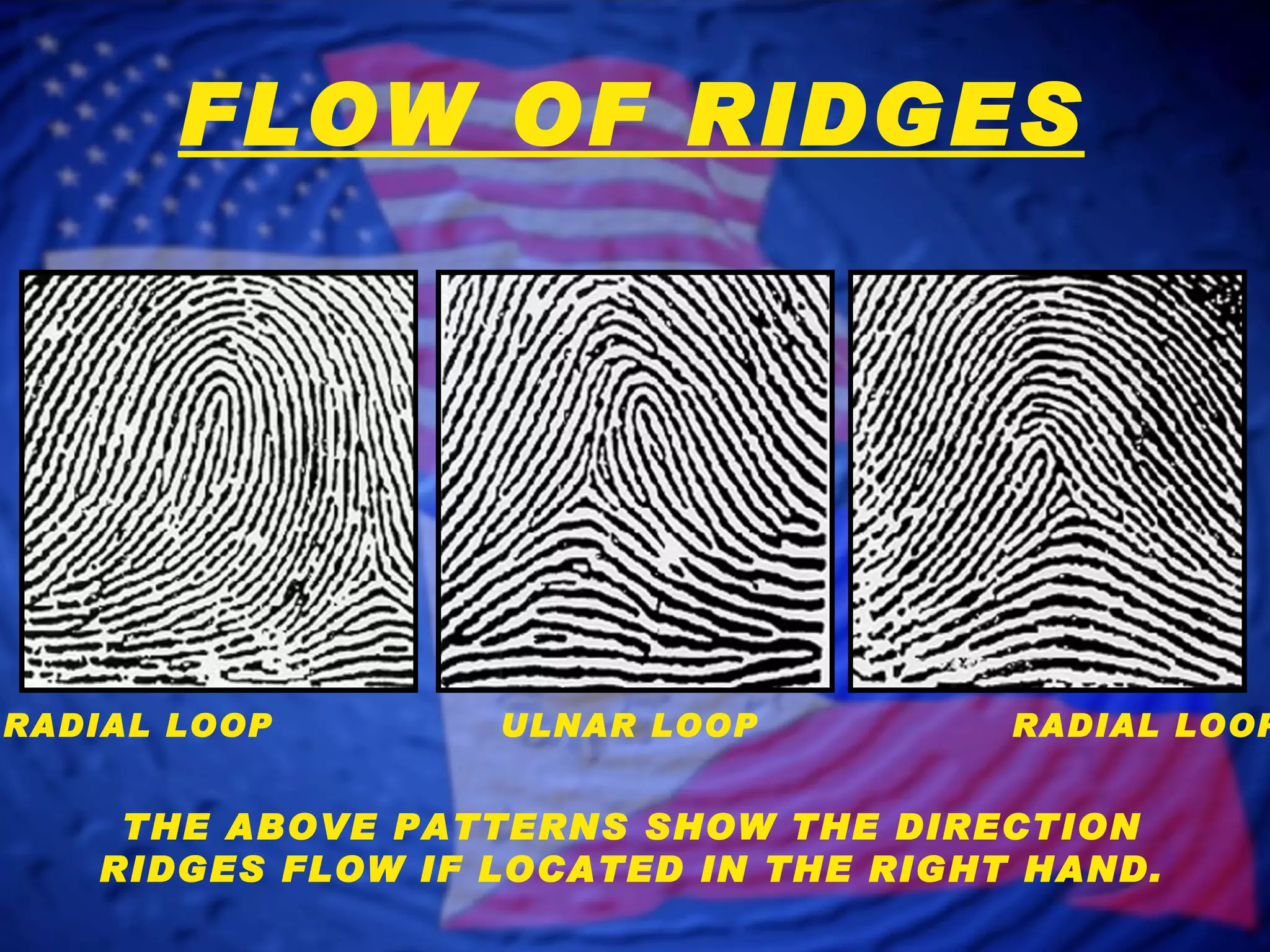Fingerprint Classification- slide 1 | PPT