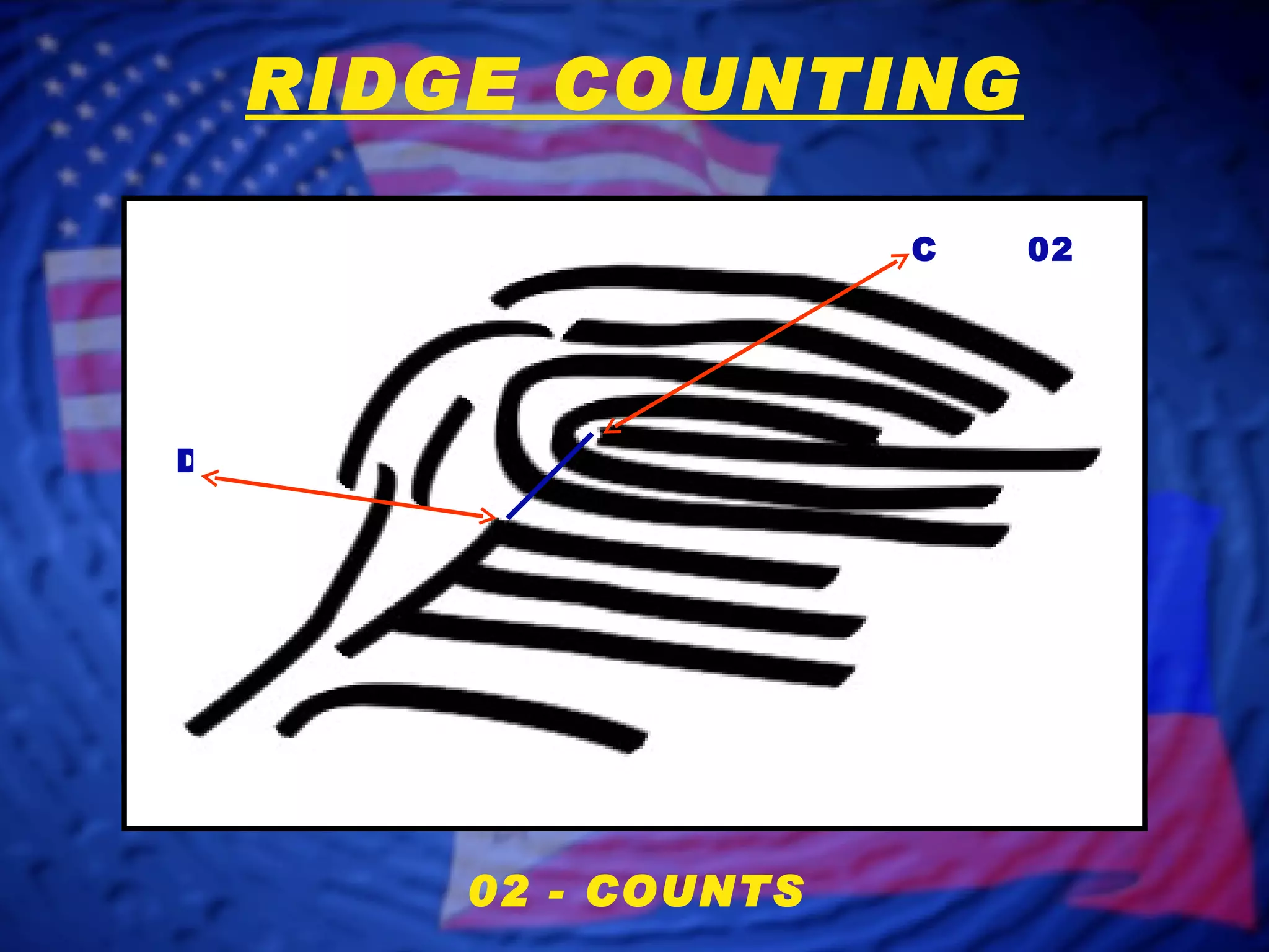 Fingerprint Classification- slide 1 | PPT