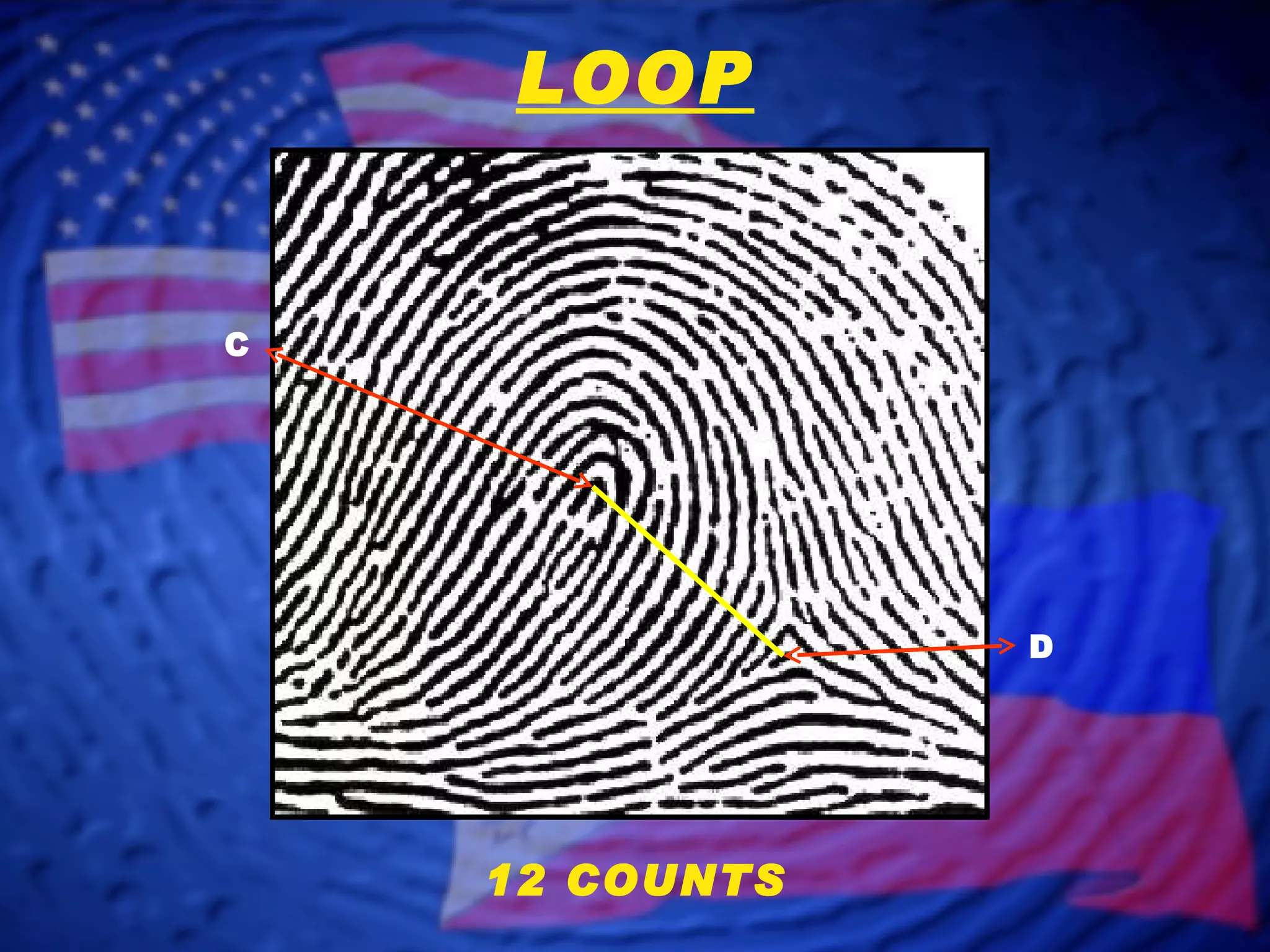 Fingerprint Classification Slide 1 Ppt