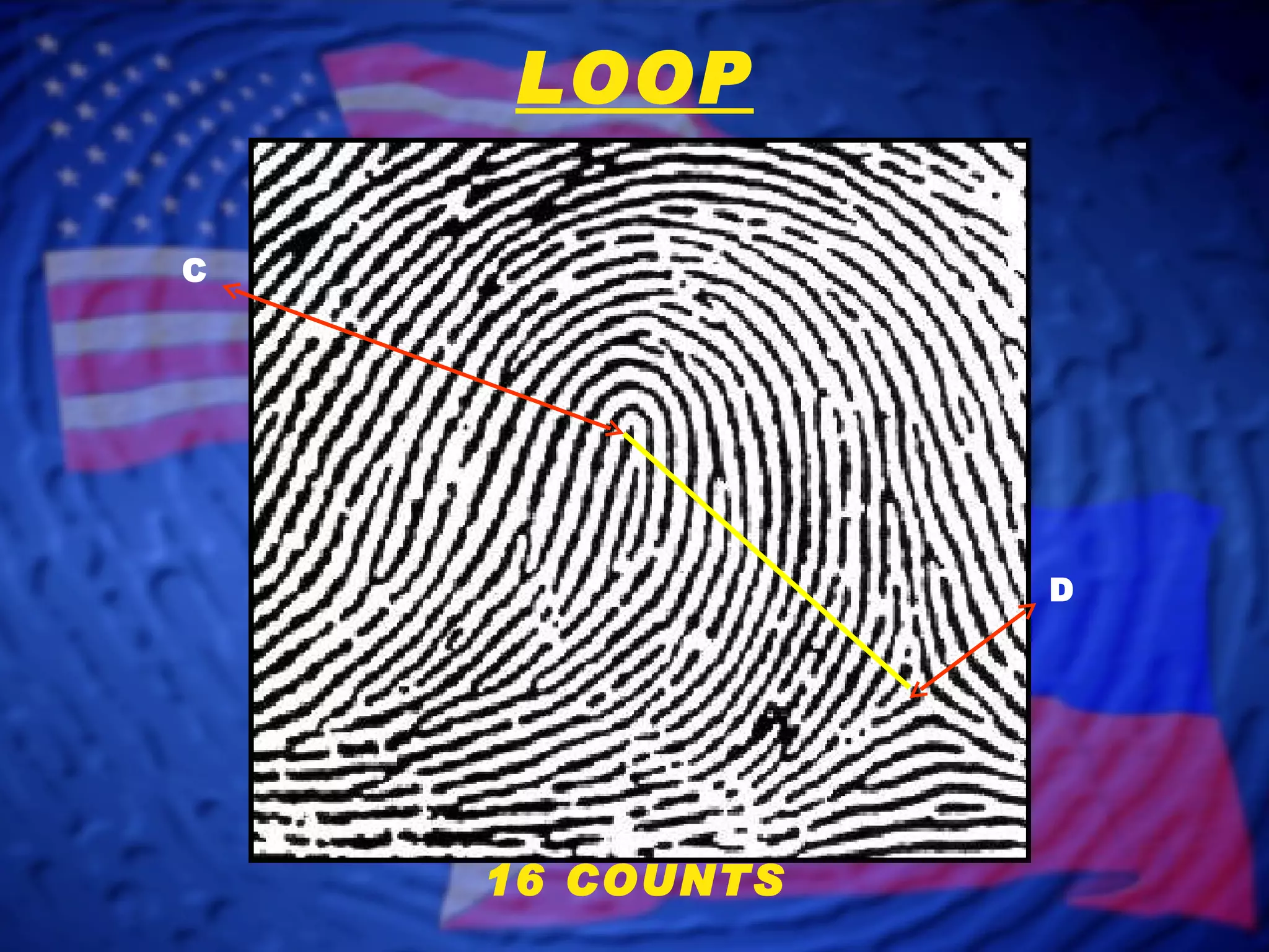 Fingerprint Classification- slide 1 | PPT