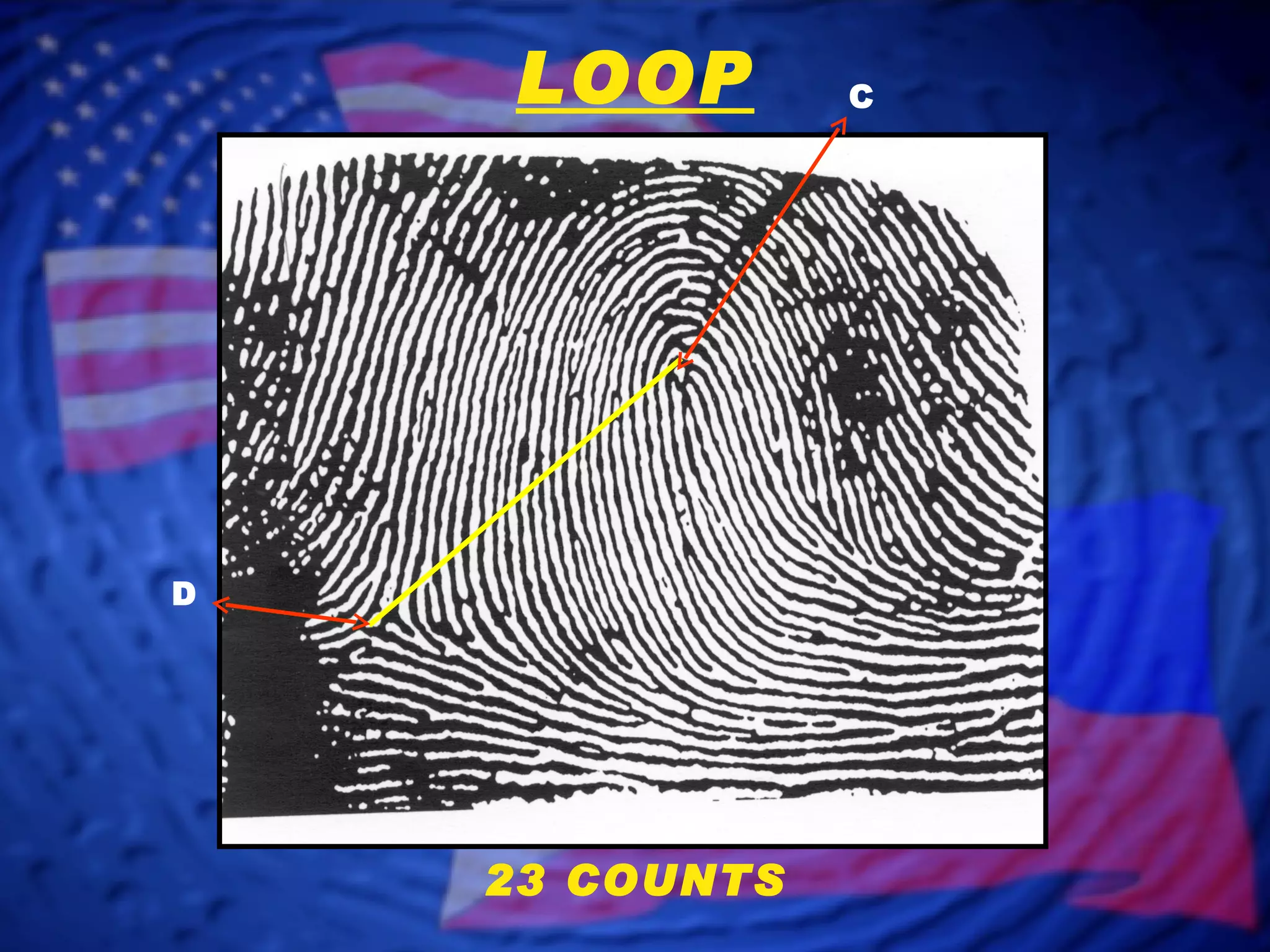Fingerprint Classification- slide 1 | PPT