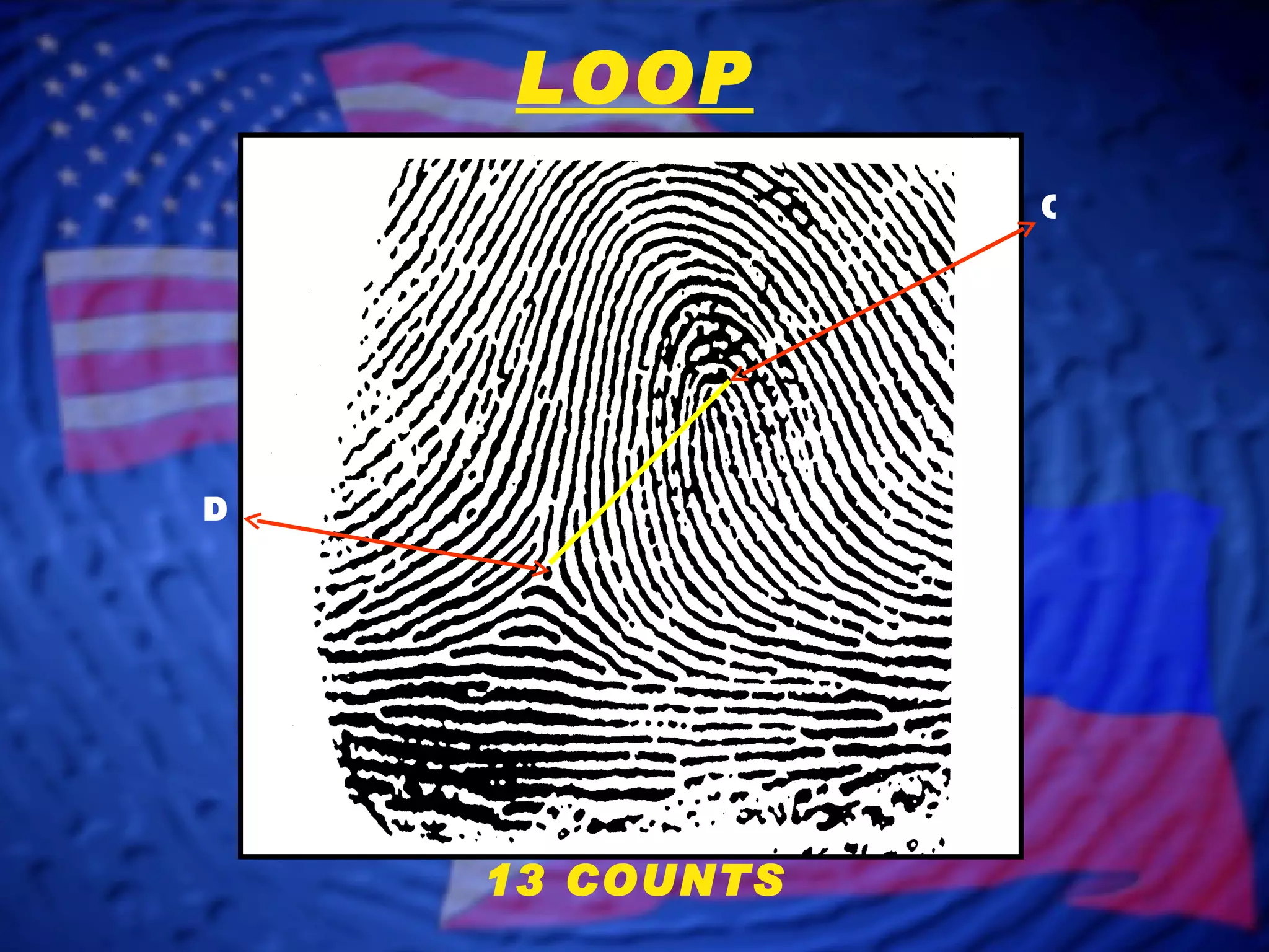 Fingerprint Classification- slide 1 | PPT