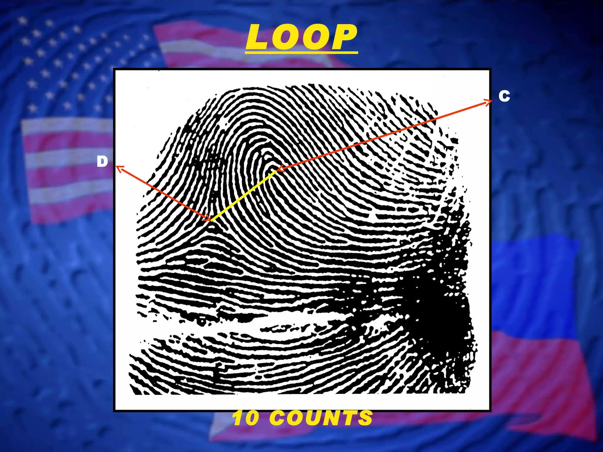 Fingerprint Classification- slide 1 | PPT | Science