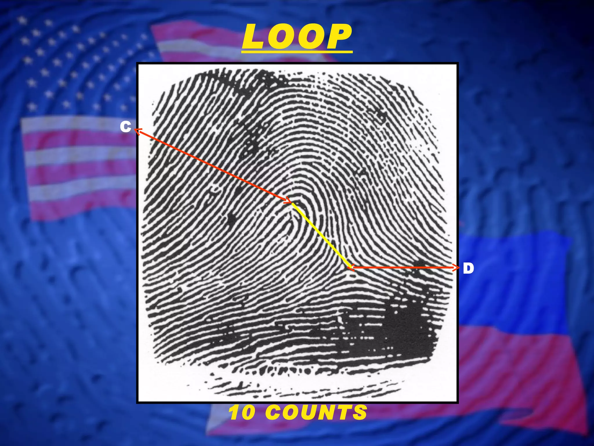Fingerprint Classification Slide 1 Ppt