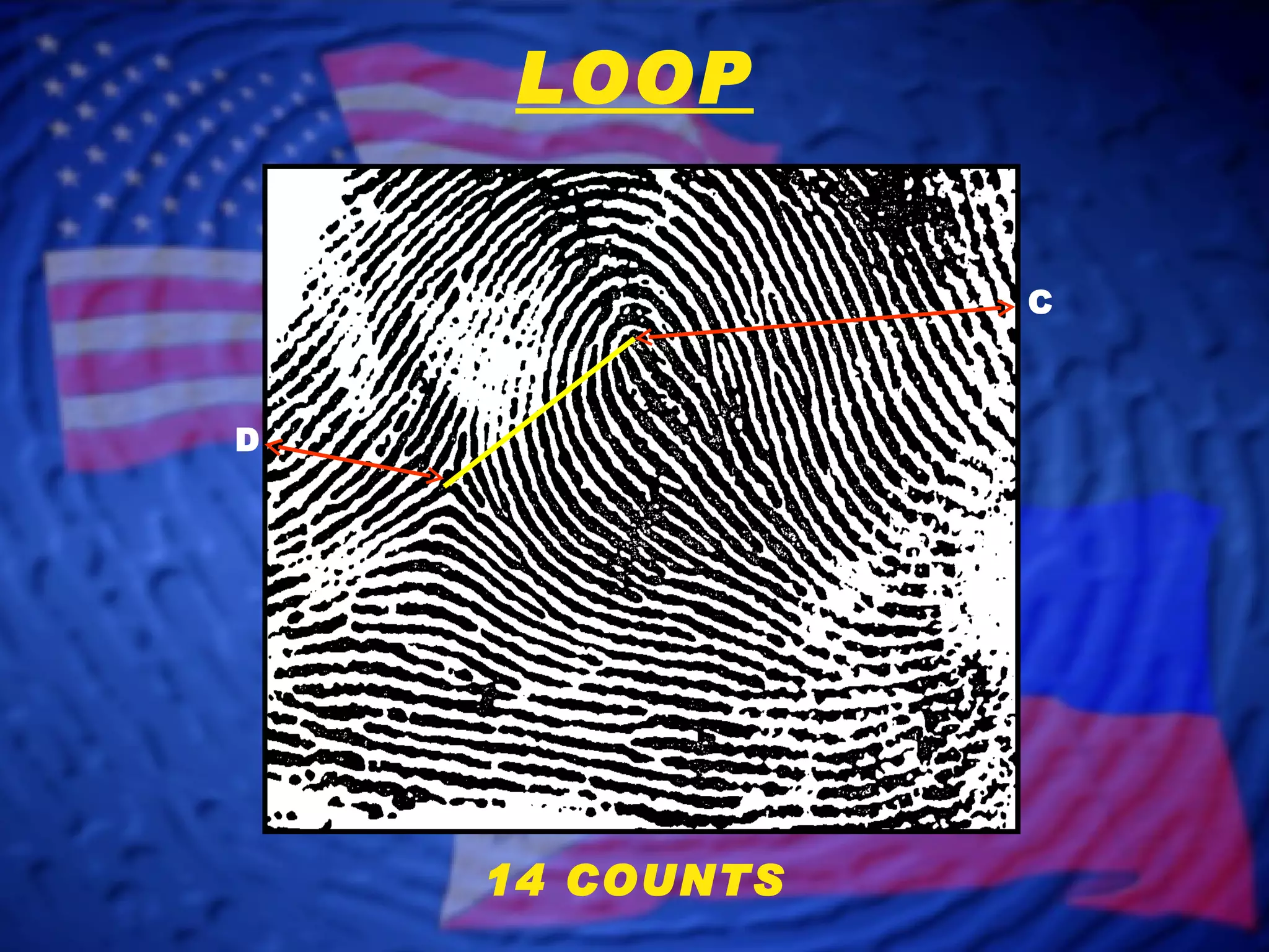 Fingerprint Classification- slide 1 | PPT