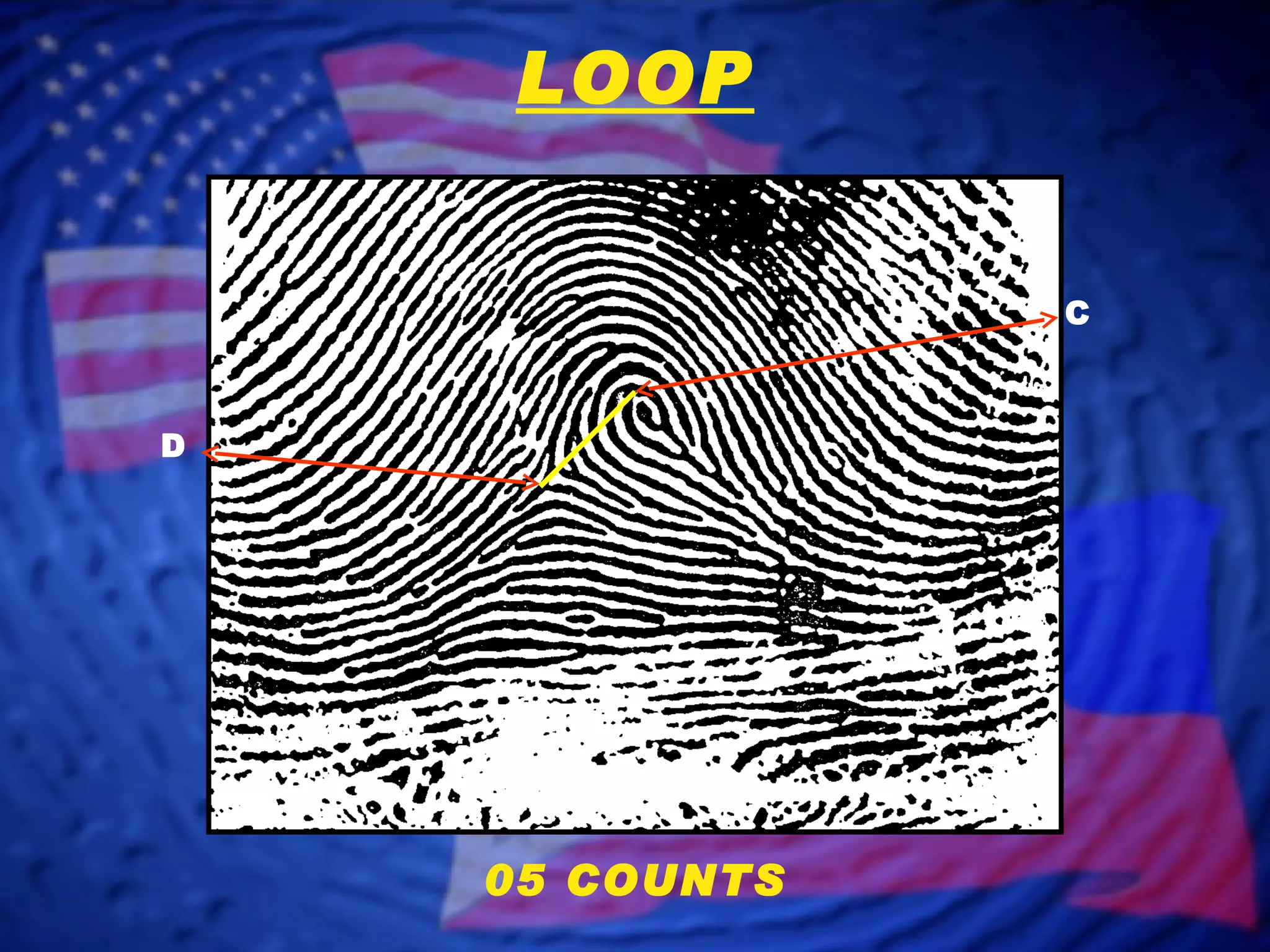 Fingerprint Classification Slide 1 Ppt