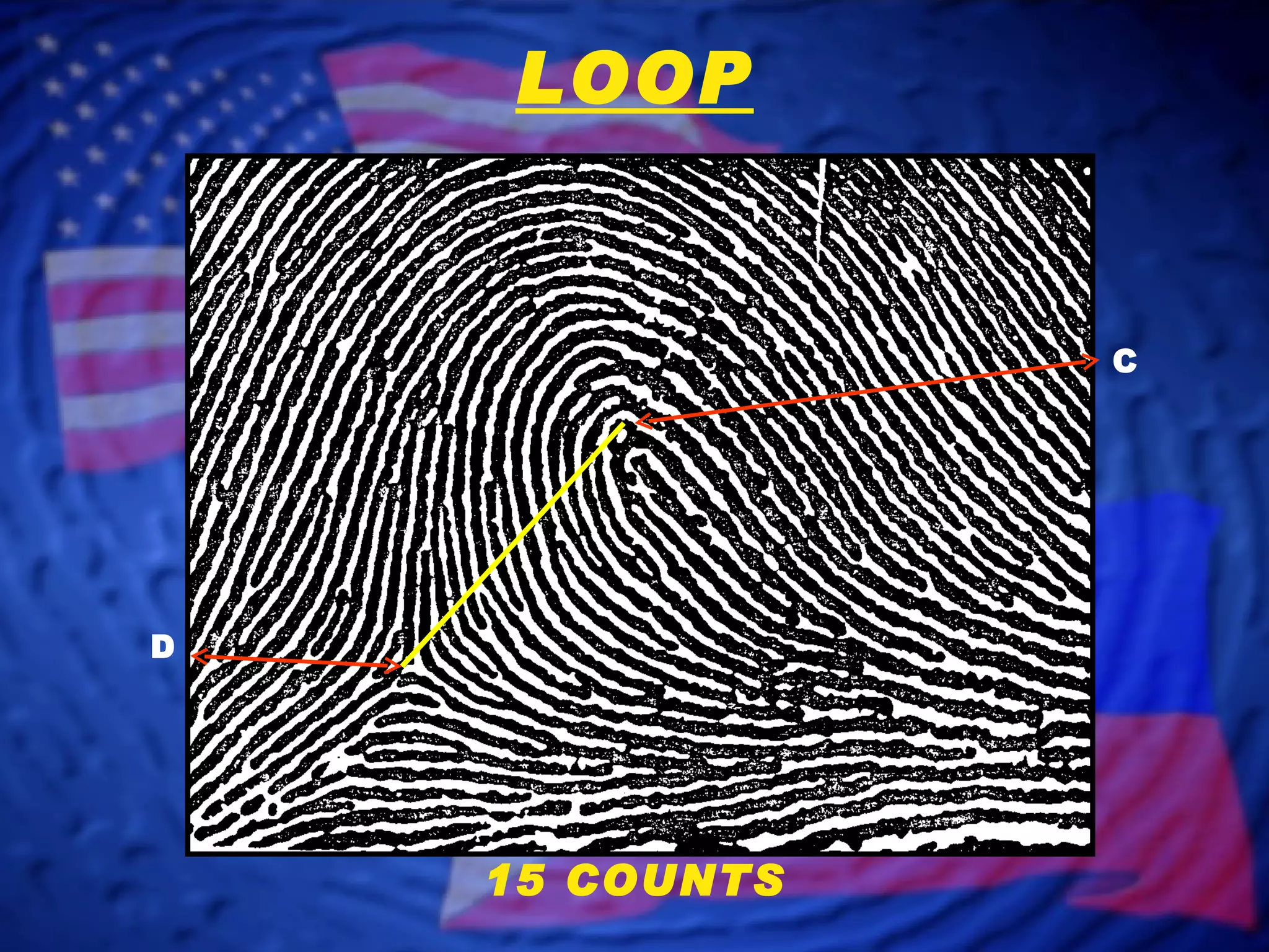 Fingerprint Classification- slide 1 | PPT