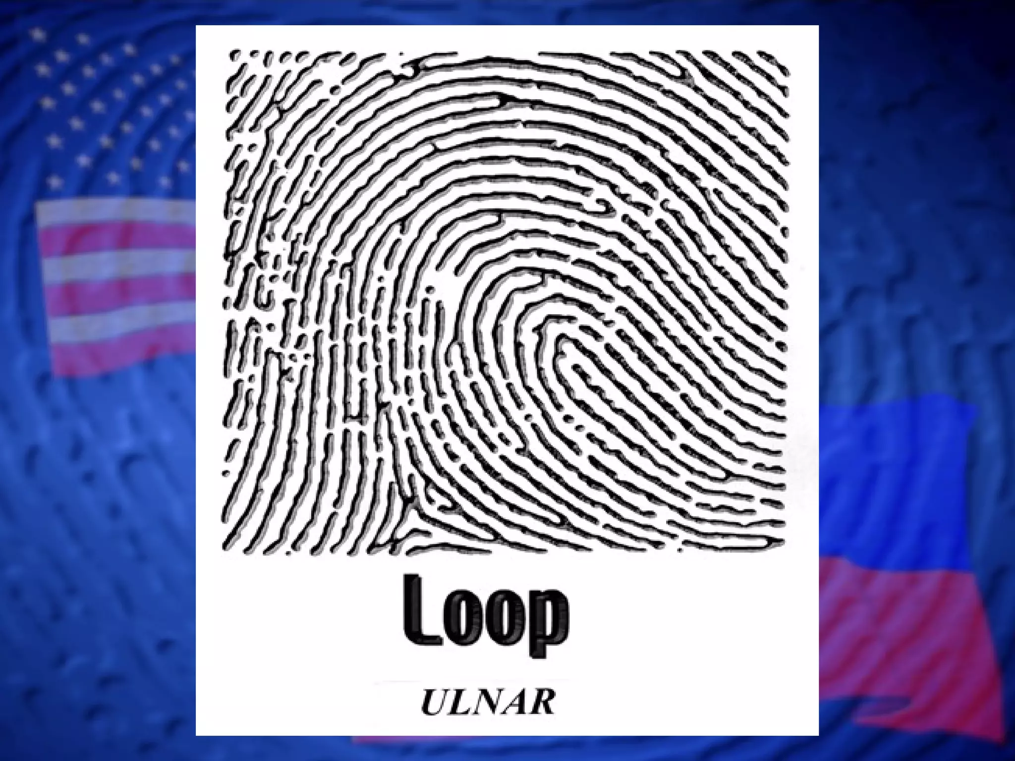 Fingerprint Classification- slide 1 | PPT