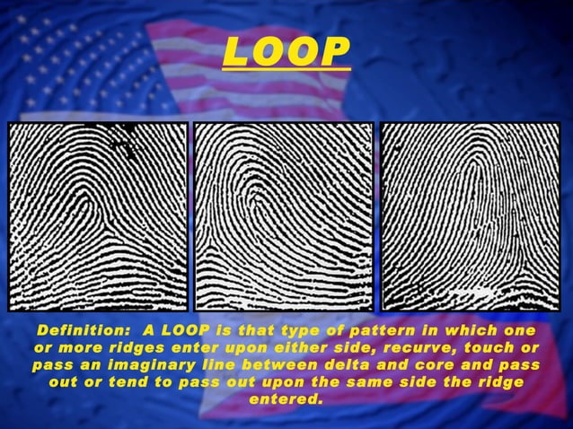 Fingerprint Classification- slide 1 | PPT | Science