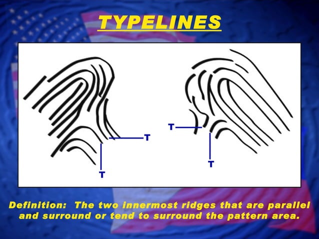 Fingerprint Classification- slide 1 | PPT | Science