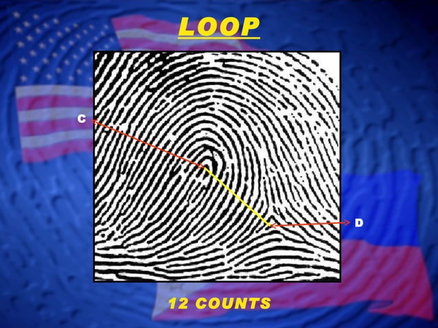 Fingerprint Classification- slide 1 | PPT | Science