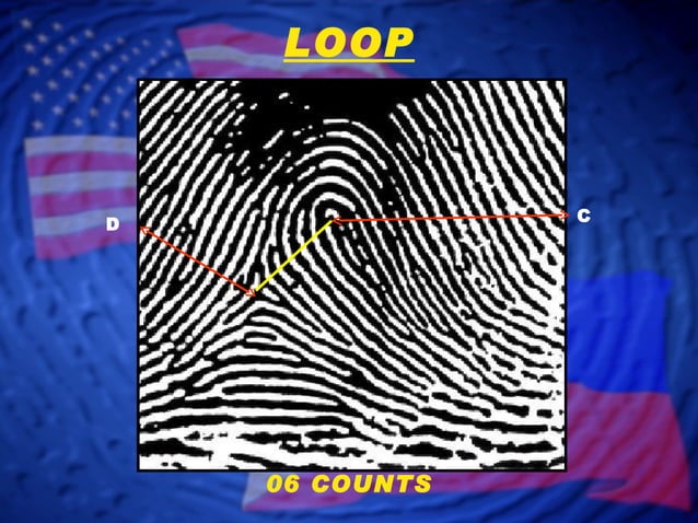 Fingerprint Classification- slide 1 | PPT | Science