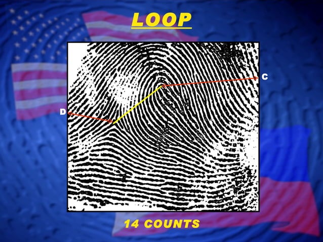 Fingerprint Classification- slide 1 | PPT | Science