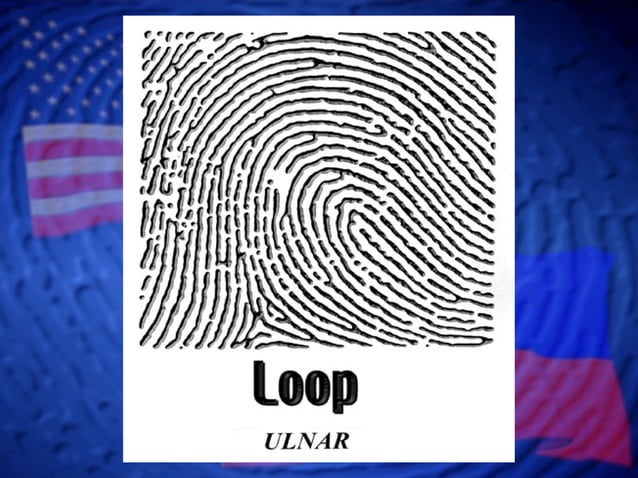 Fingerprint Classification- slide 1 | PPT | Science