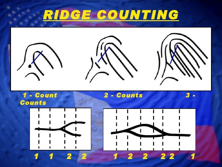 Fingerprint Classification- slide 1