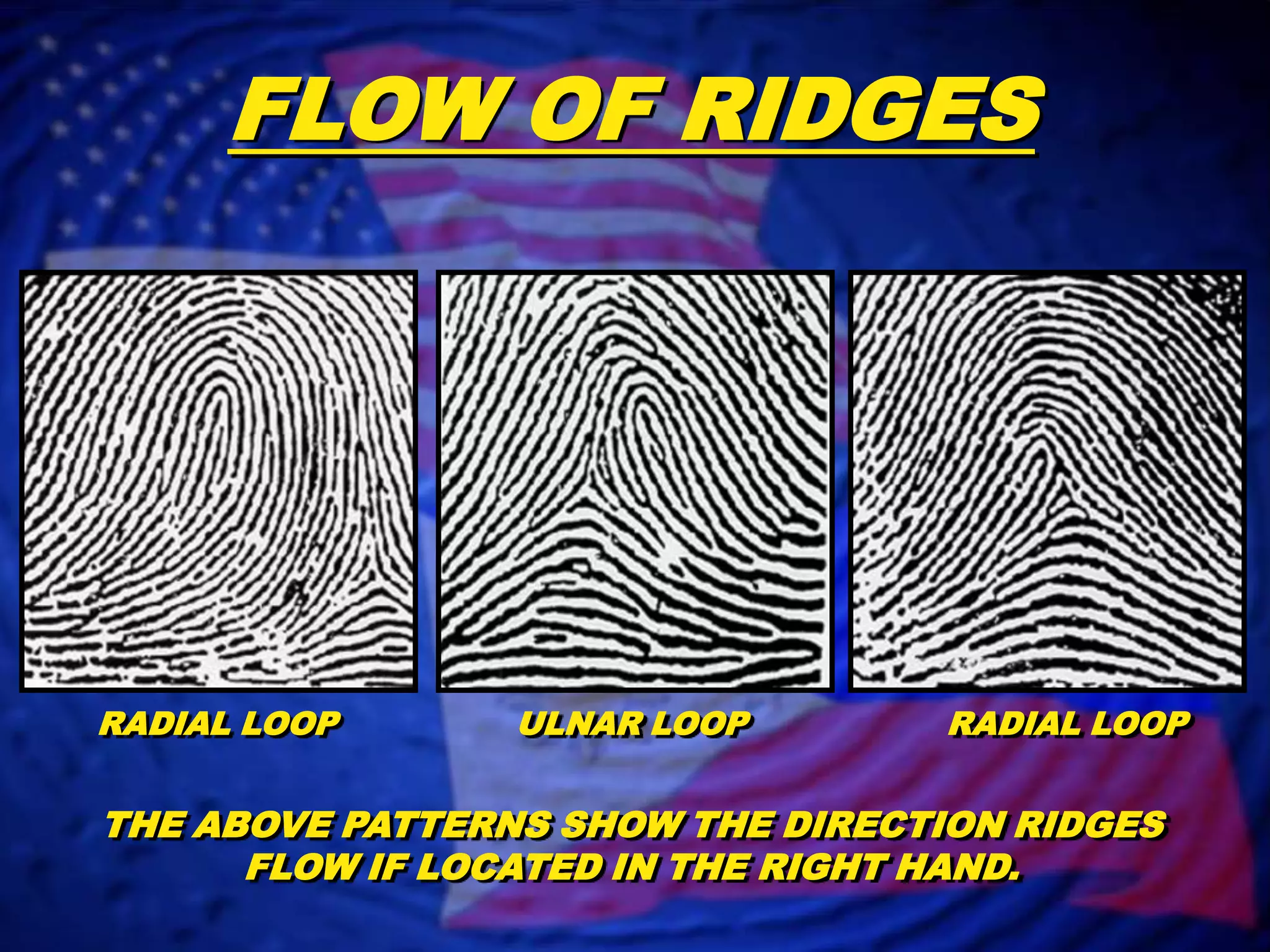 Fingerprint Classification- Loop Patterns | PPTX