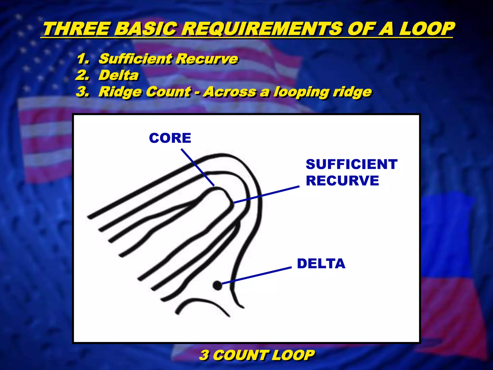 Fingerprint Classification- Loop Patterns | PPTX